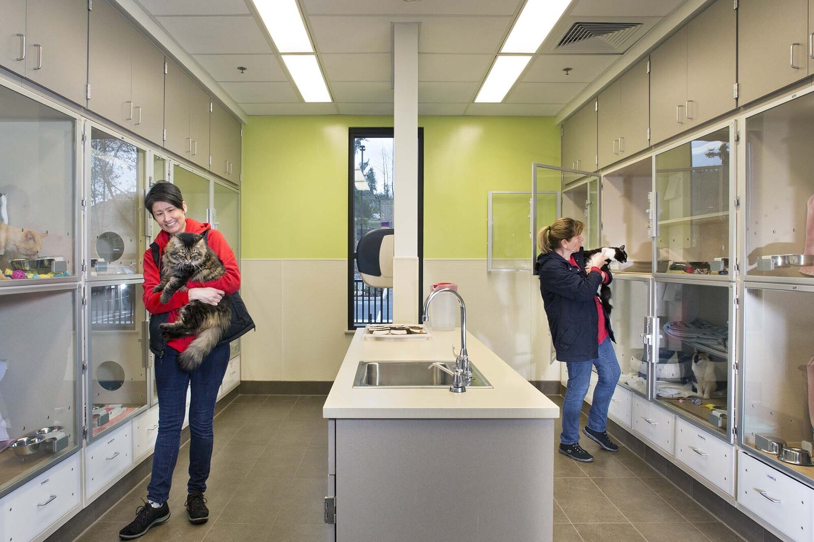 Photo 9 of 13 in Seattle Humane by Johnston Architects - Dwell