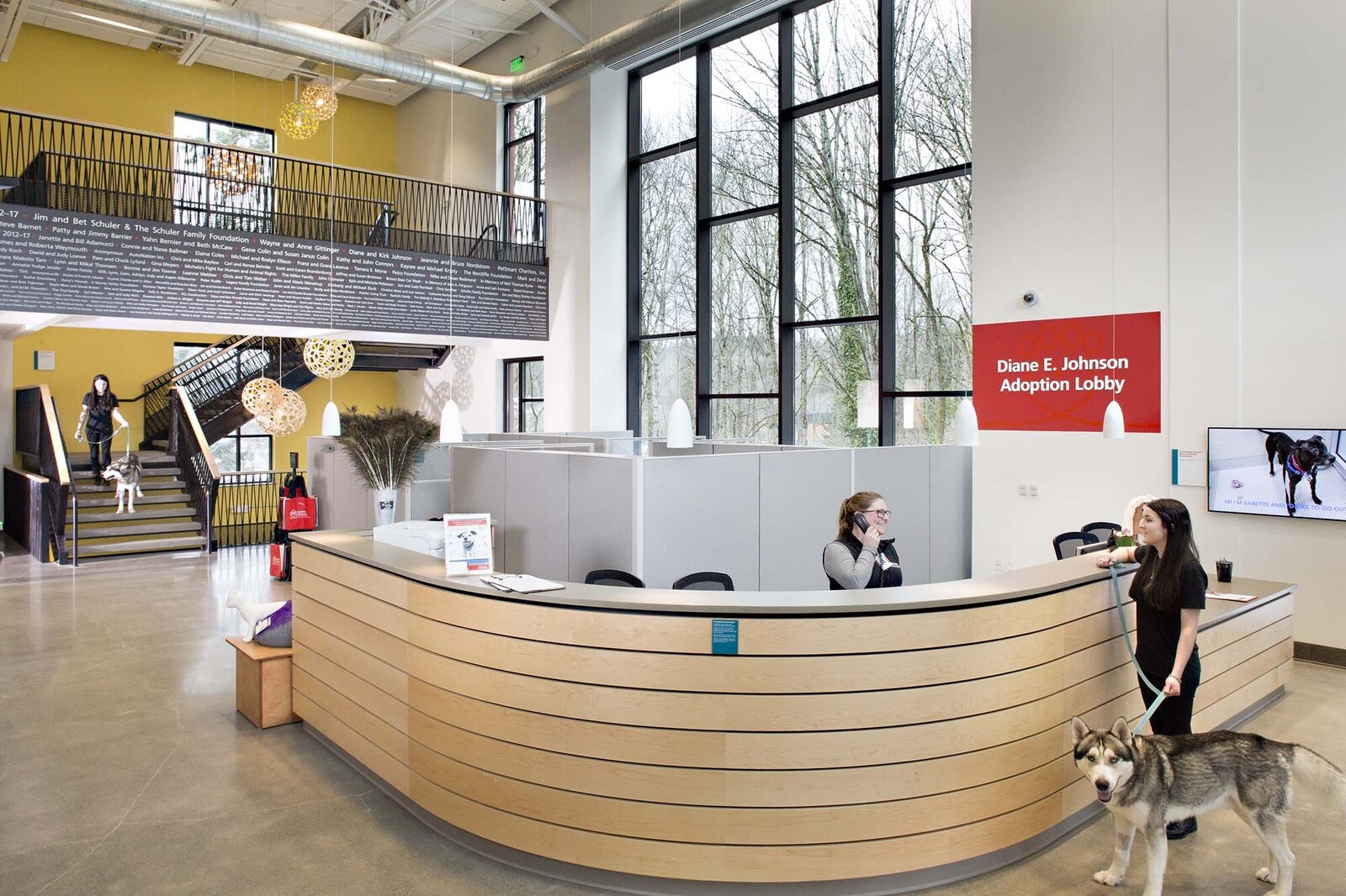 Photo 10 of 13 in Seattle Humane by Johnston Architects - Dwell