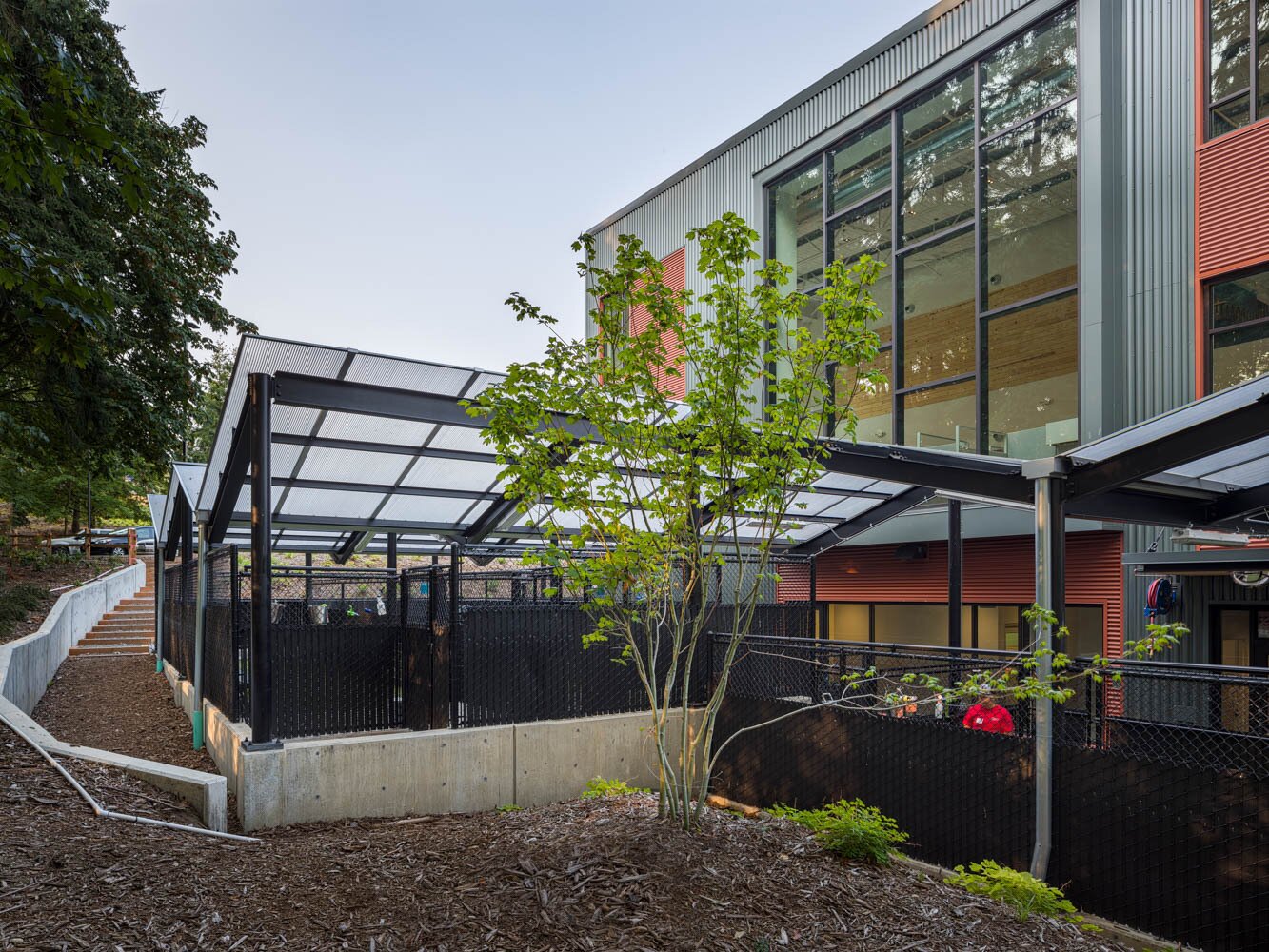 Photo 12 of 13 in Seattle Humane by Johnston Architects - Dwell