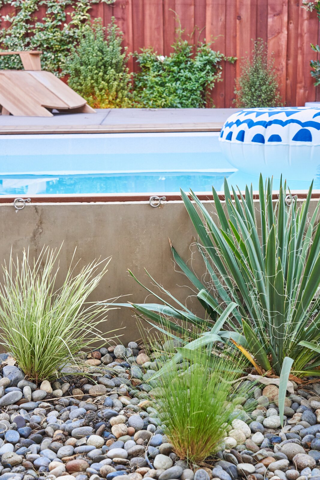 Photo 5 of 10 in Midcentury Plunge Pool by Yardzen - Dwell