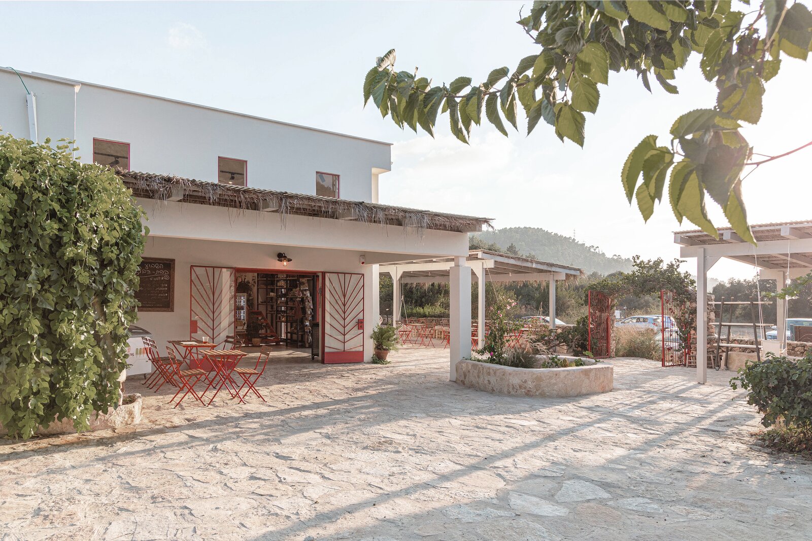 Photo 6 of 20 in Makura's farm olive press and coffee shop by Ofer ...