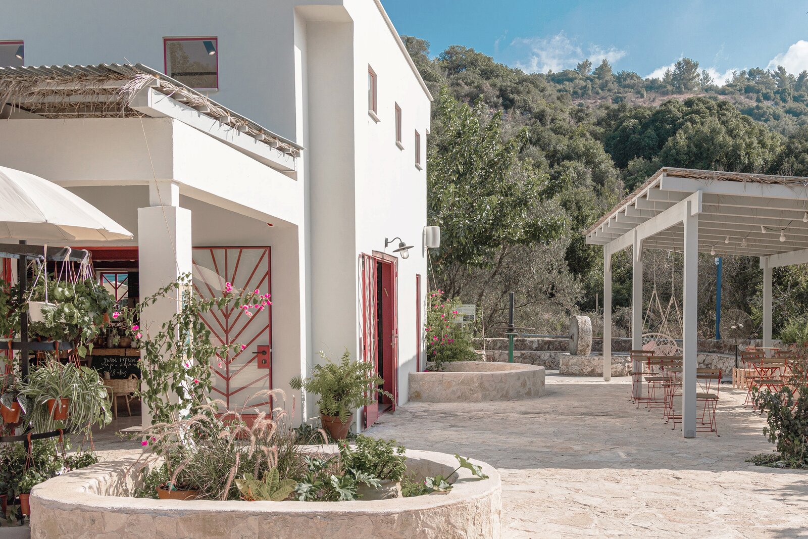 Photo 4 of 20 in Makura's farm olive press and coffee shop by Ofer ...