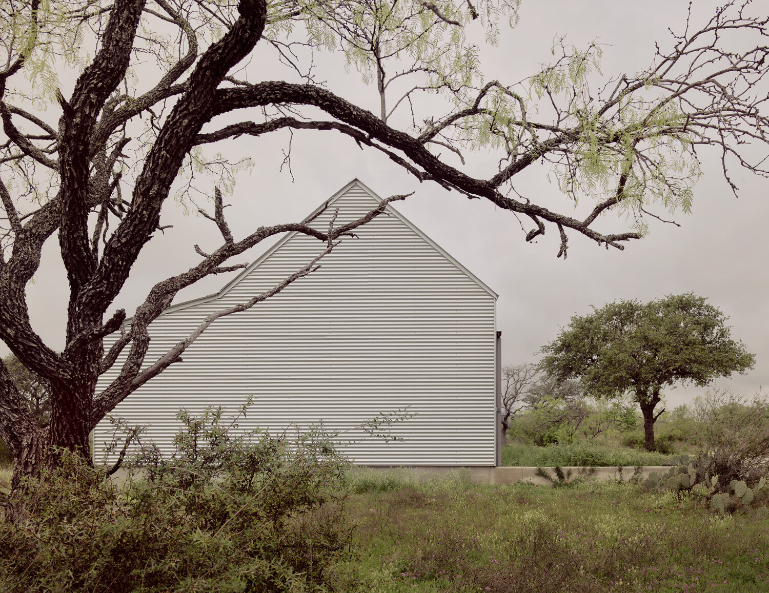 Photo 15 of 21 in SHED/HOUSE by John Redington - Dwell