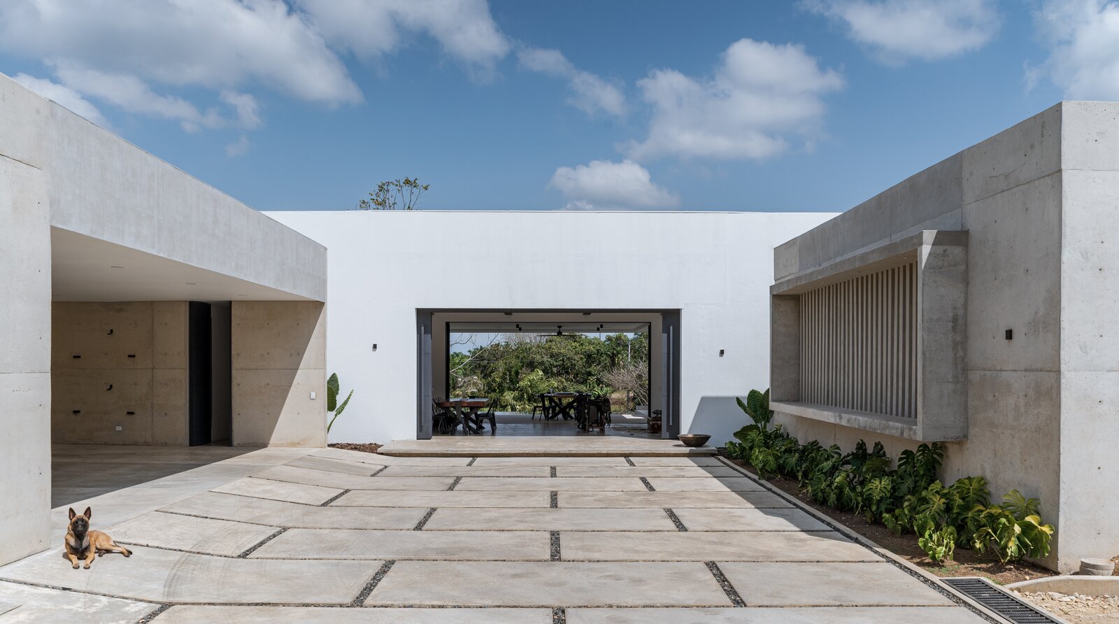 Photo 15 of 42 in The DV house by Velez Valencia Arquitectos - Dwell