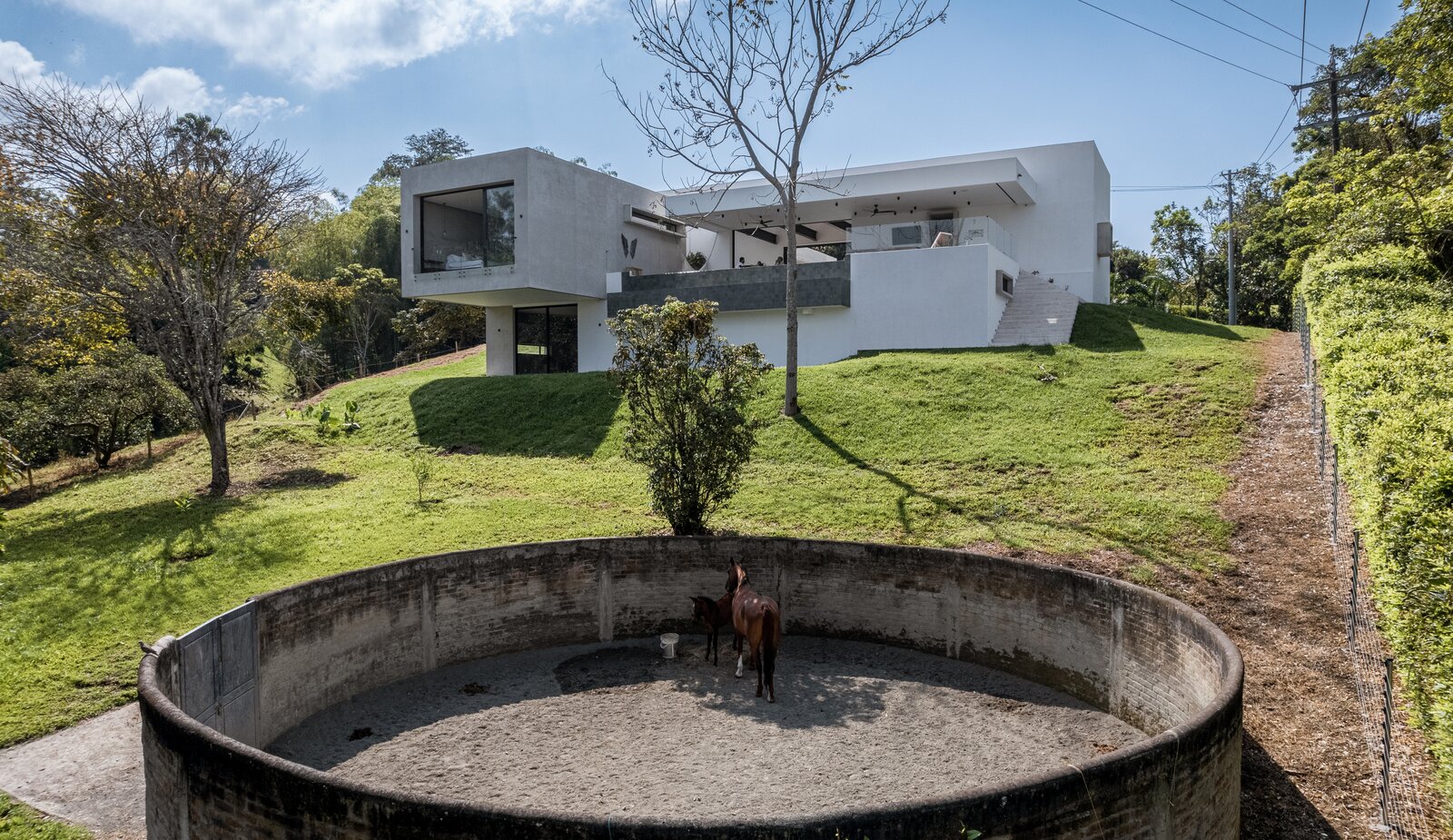 Photo 5 of 42 in The DV house by Velez Valencia Arquitectos - Dwell