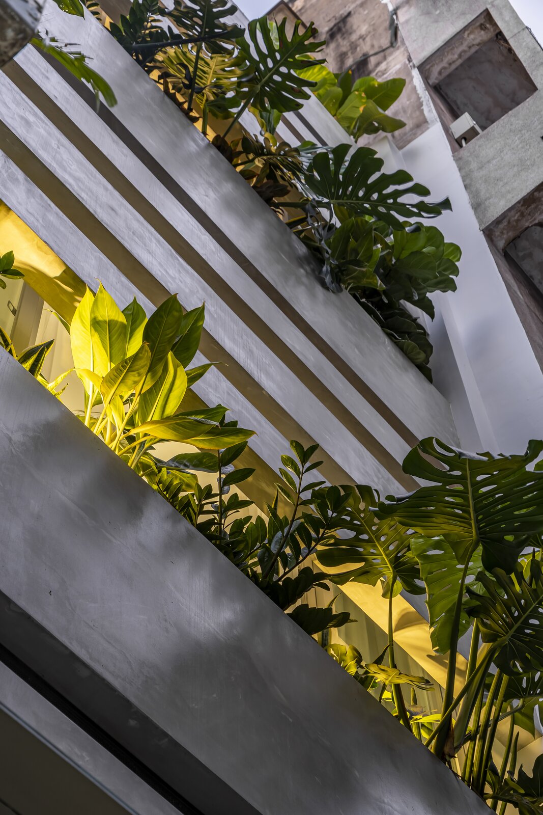 Photo 5 of 29 in NATURE CURTAIN HOUSE by SENSE DESIGN STUDIO - Dwell