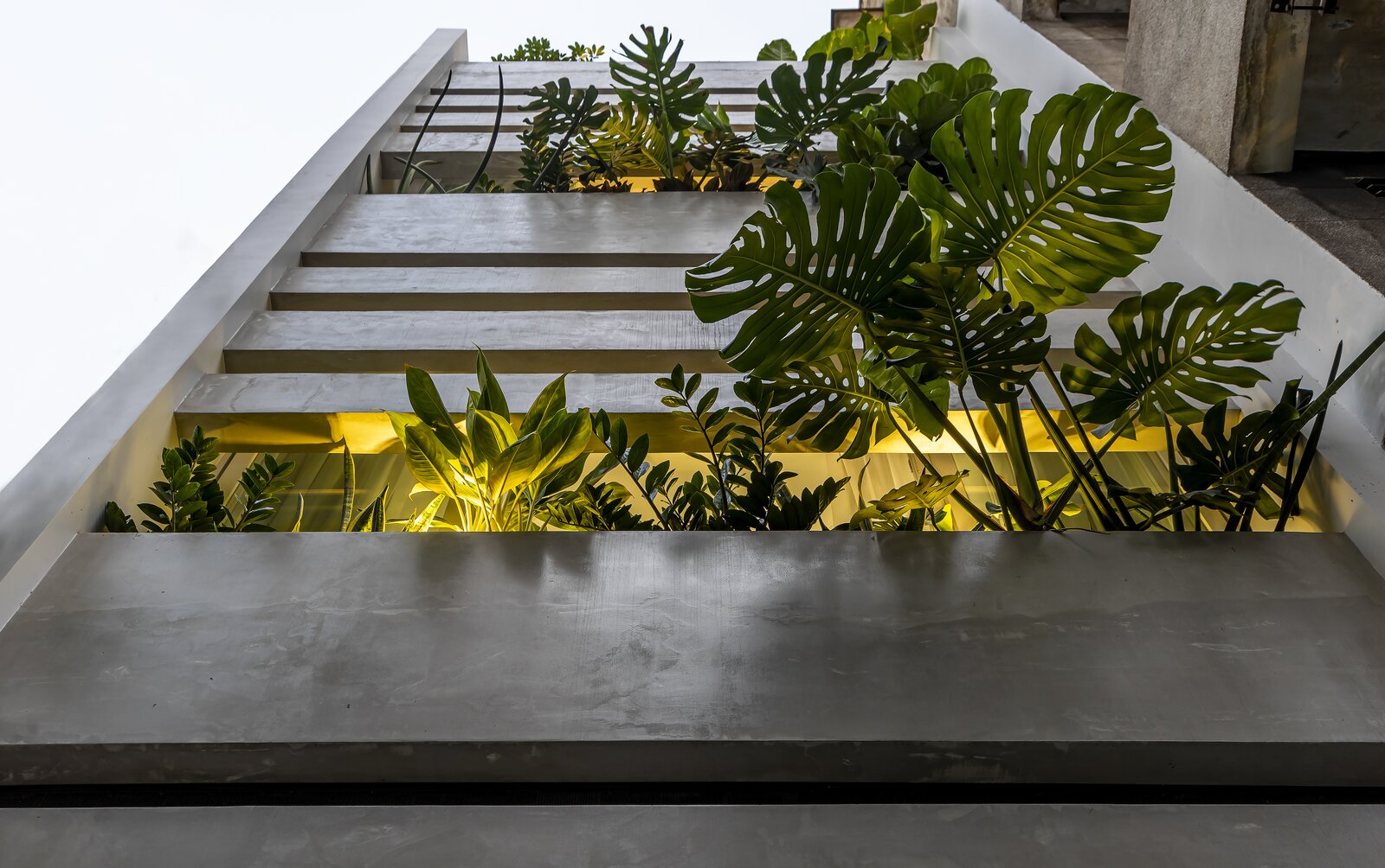 Photo 6 of 29 in NATURE CURTAIN HOUSE by SENSE DESIGN STUDIO - Dwell
