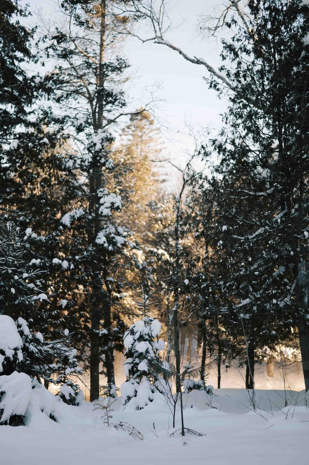 Photo 4 of 73 in North River House by Sara Farquharson - Dwell