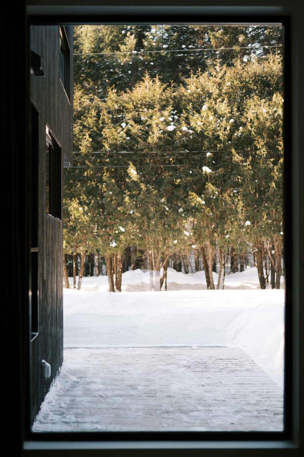 Photo 12 of 73 in North River House by Sara Farquharson - Dwell