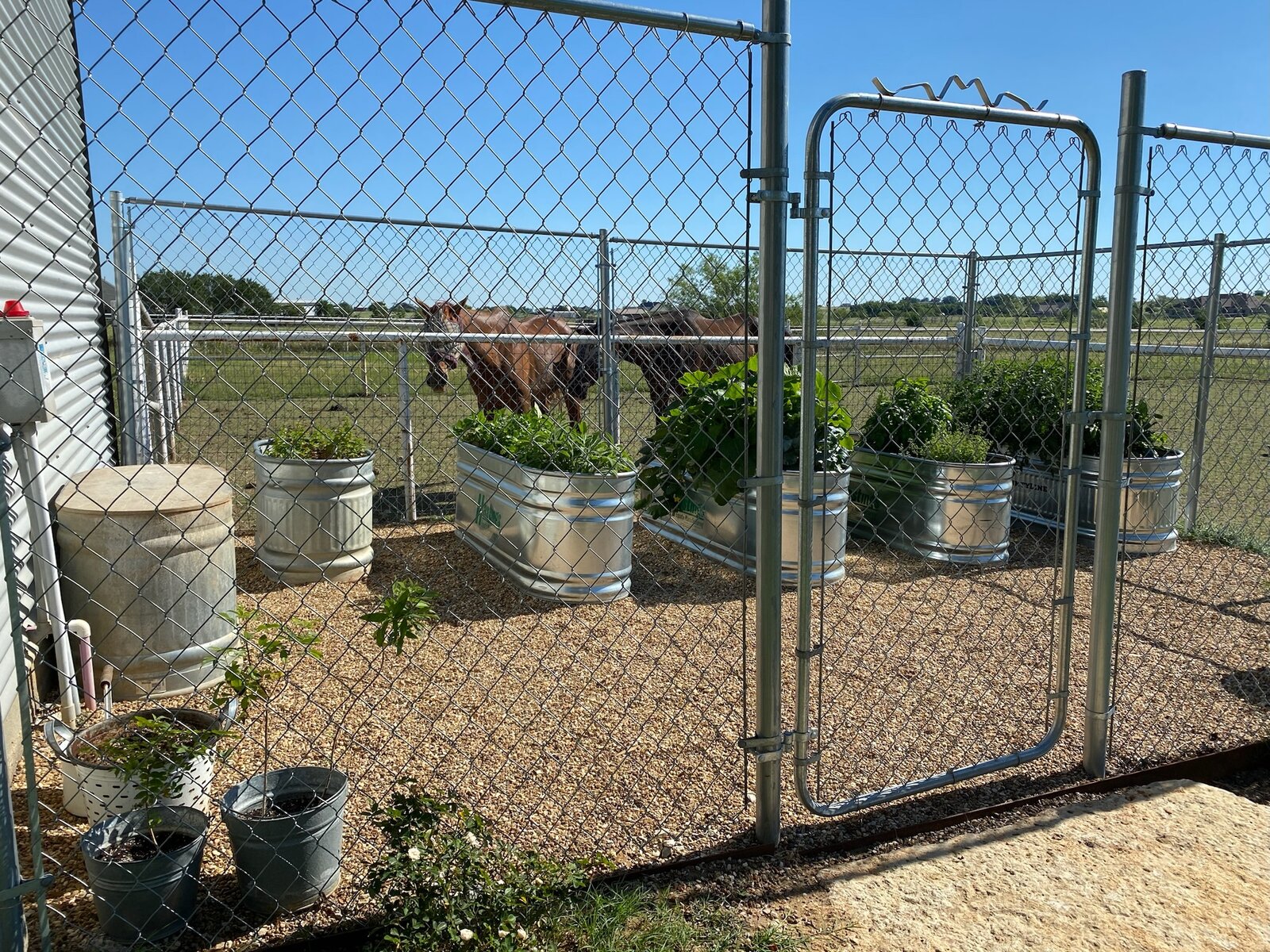 Photo 8 of 27 in Max Levy Big Sky Hayloft Home by Duncan Mcphail - Dwell