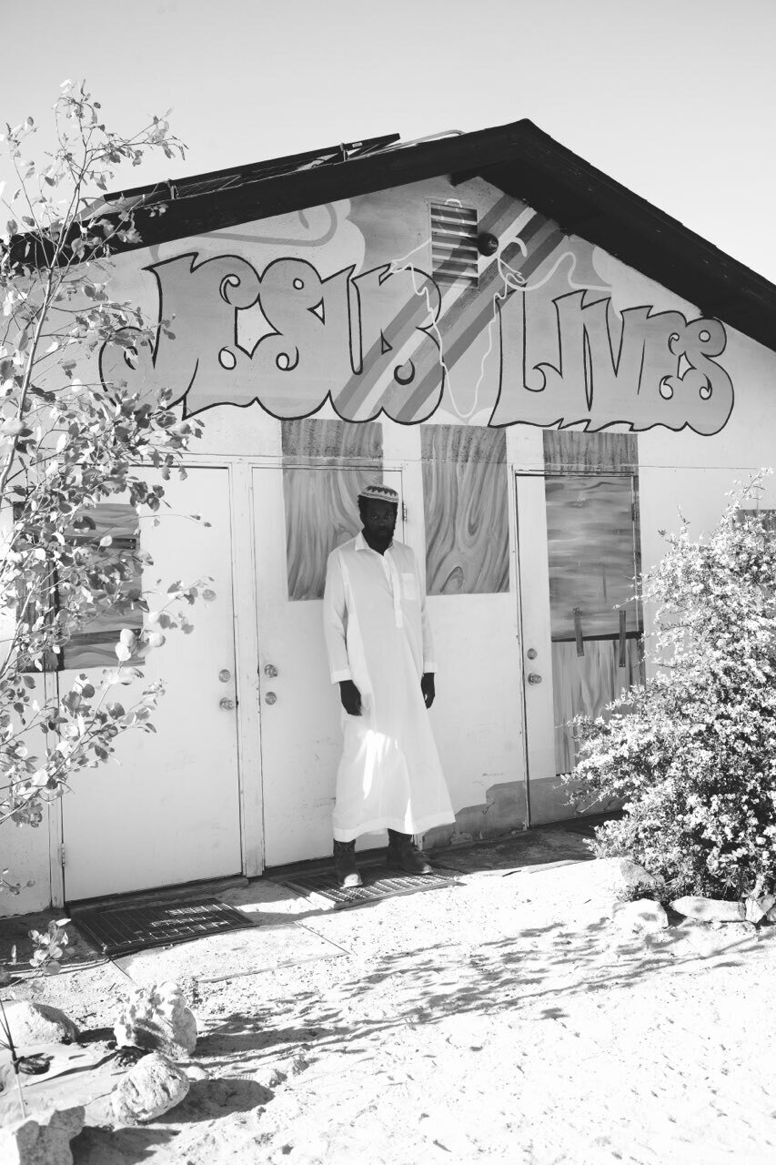 Photo 9 of 12 in Pet Place Paradise by Pet Place International - Dwell