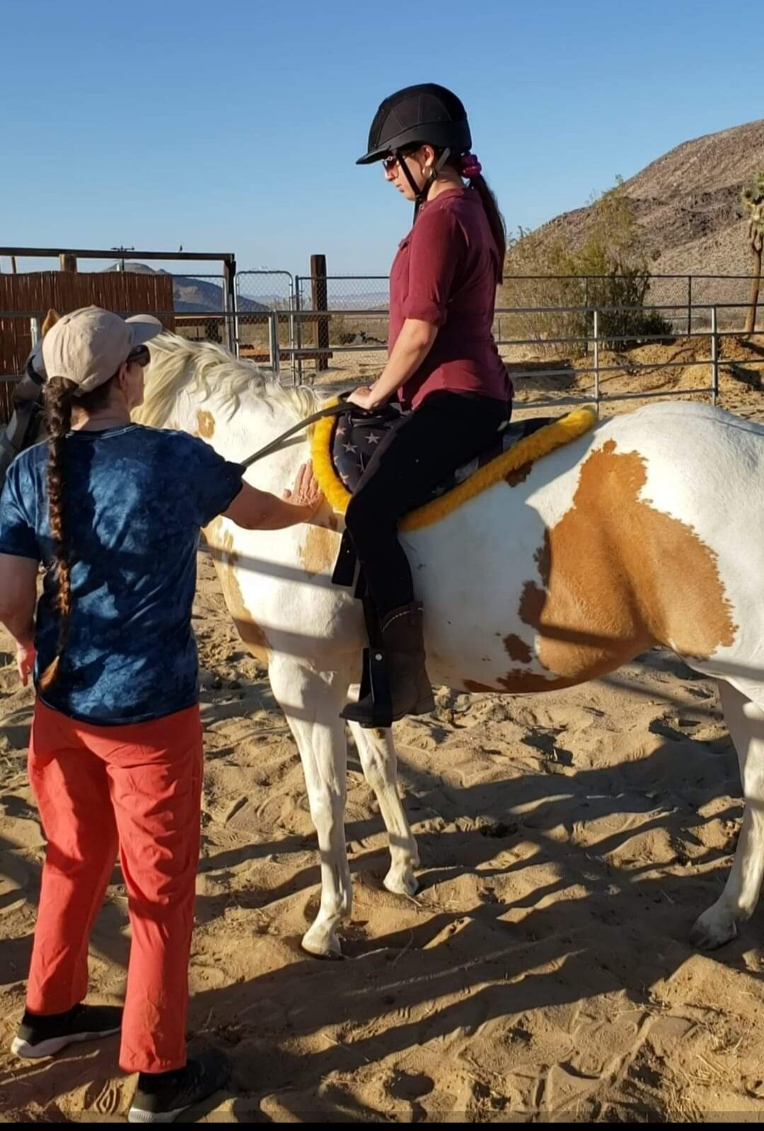 Photo 8 of 12 in Pet Place Paradise by Pet Place International - Dwell