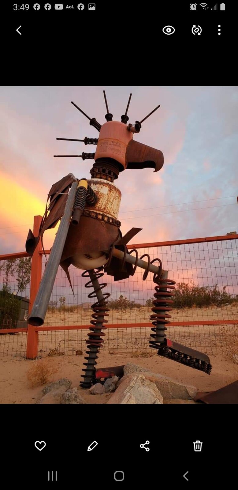 Photo 5 of 12 in Pet Place Paradise by Pet Place International - Dwell