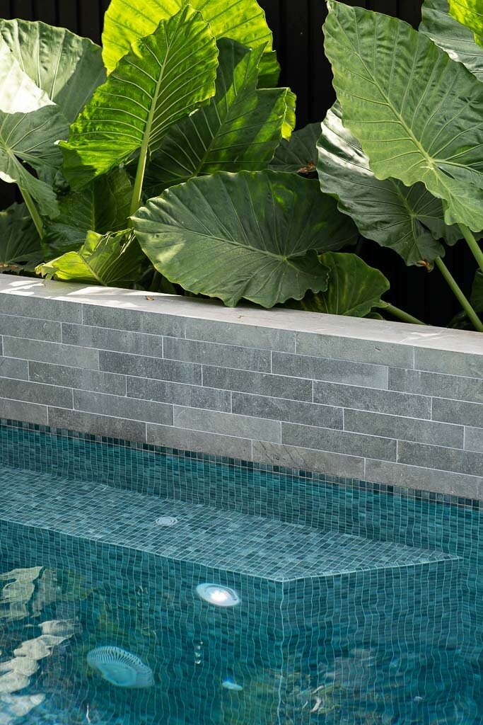 Photo 2 of 22 in WET EDGE LAP POOL by Jason - Dwell