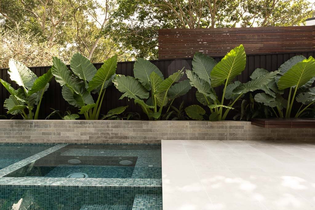 Photo 12 of 22 in WET EDGE LAP POOL by Jason - Dwell