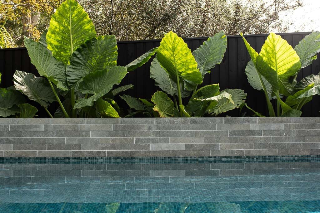 Photo 20 of 22 in WET EDGE LAP POOL by Jason - Dwell