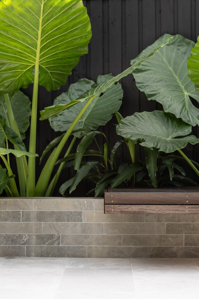 Photo 15 of 22 in WET EDGE LAP POOL by Jason - Dwell