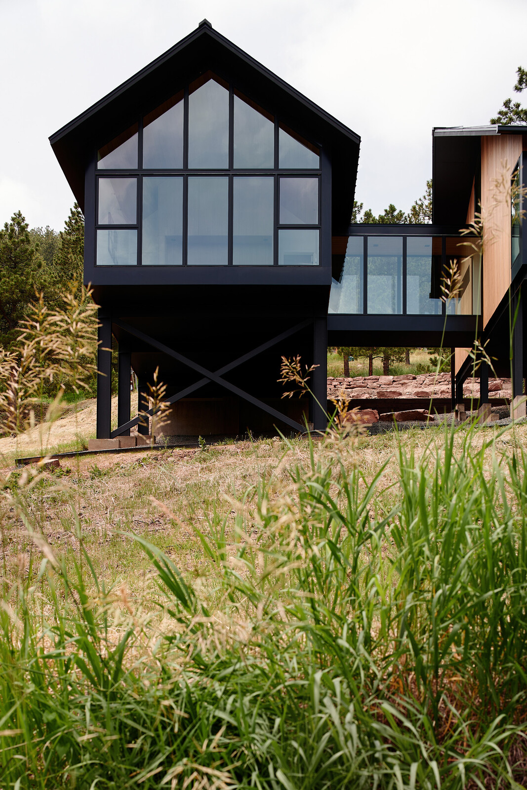 Photo 6 of 13 in Pine Tree Remodel by Follow Architecture - Dwell