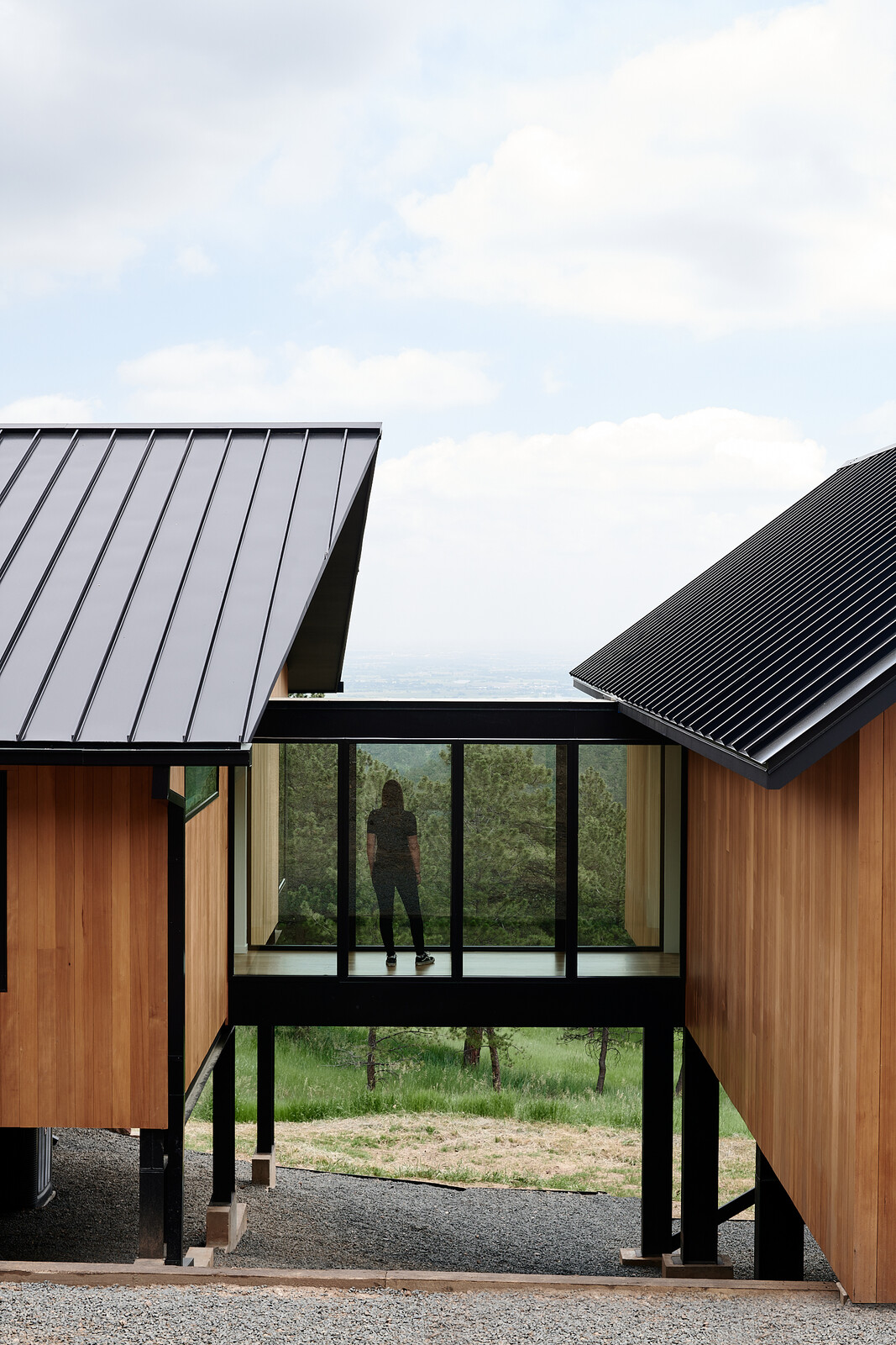 Photo 1 of 13 in Pine Tree Remodel by Follow Architecture - Dwell