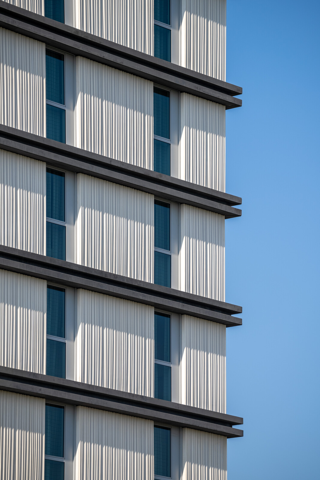 Photo 3 of 23 in U-Flats & Trinity by Alexis Gilson - Dwell