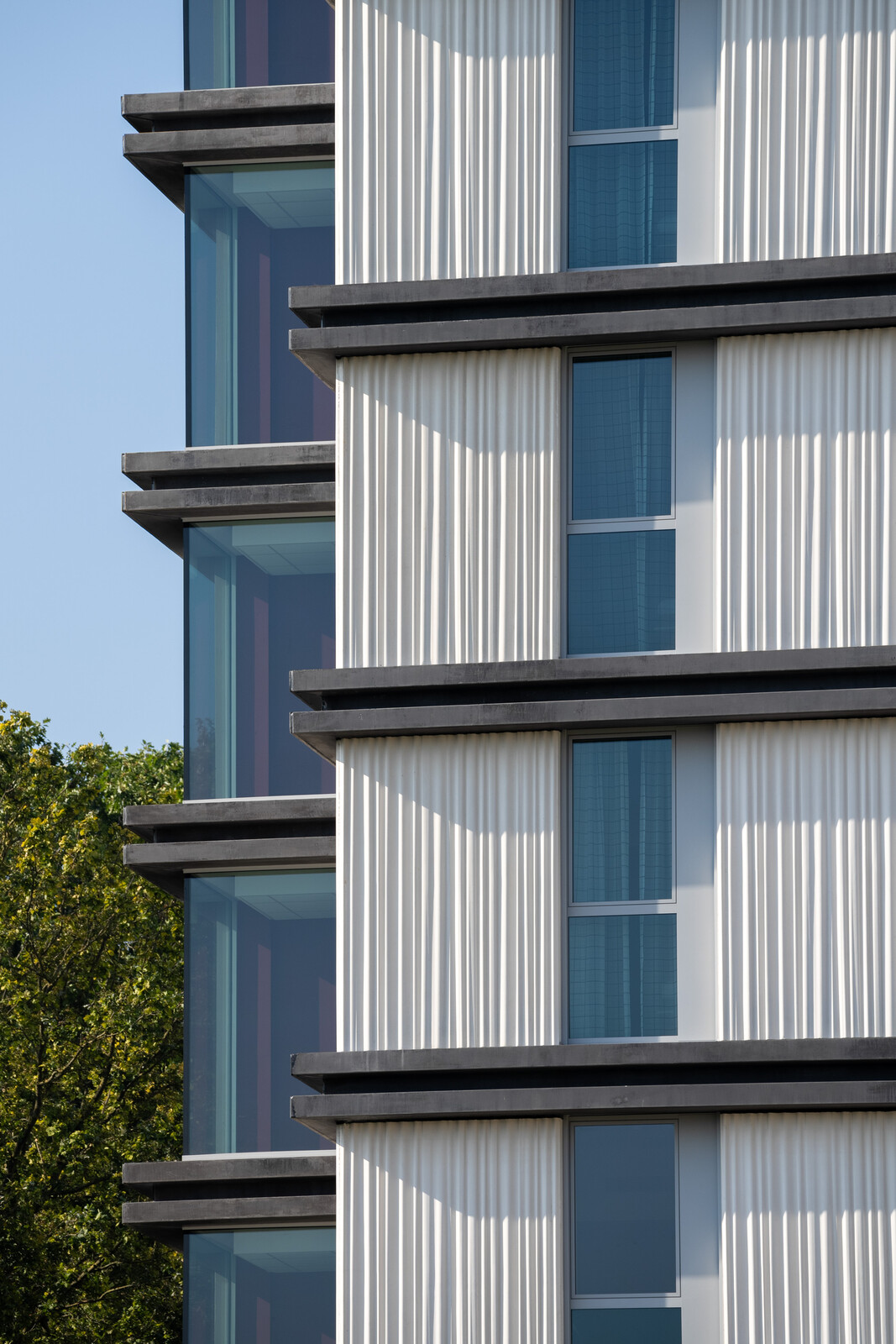 Photo 12 of 23 in U-Flats & Trinity by Alexis Gilson - Dwell