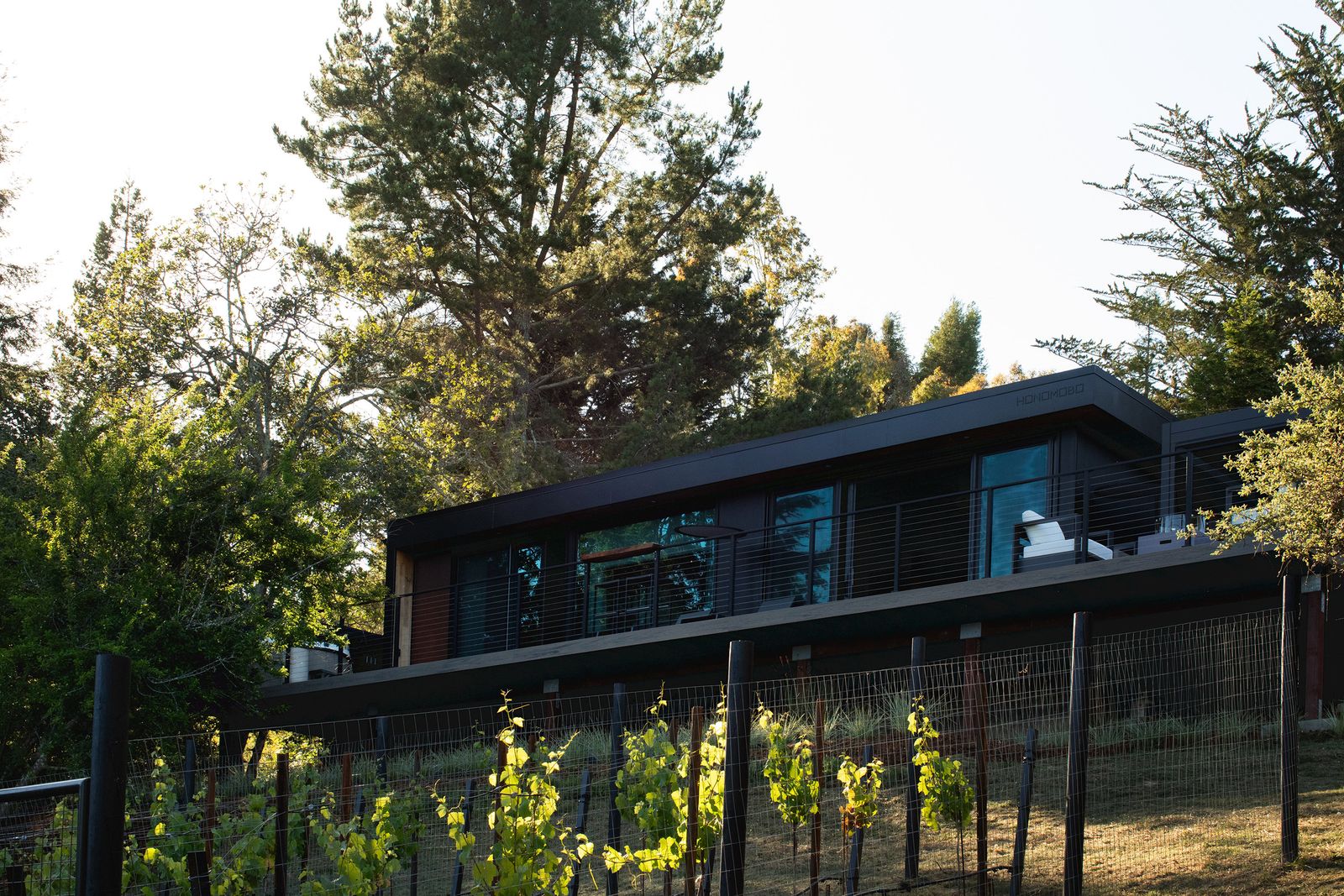 Photo 1 of 38 in Luna Luna House by Luna Luna House - Dwell