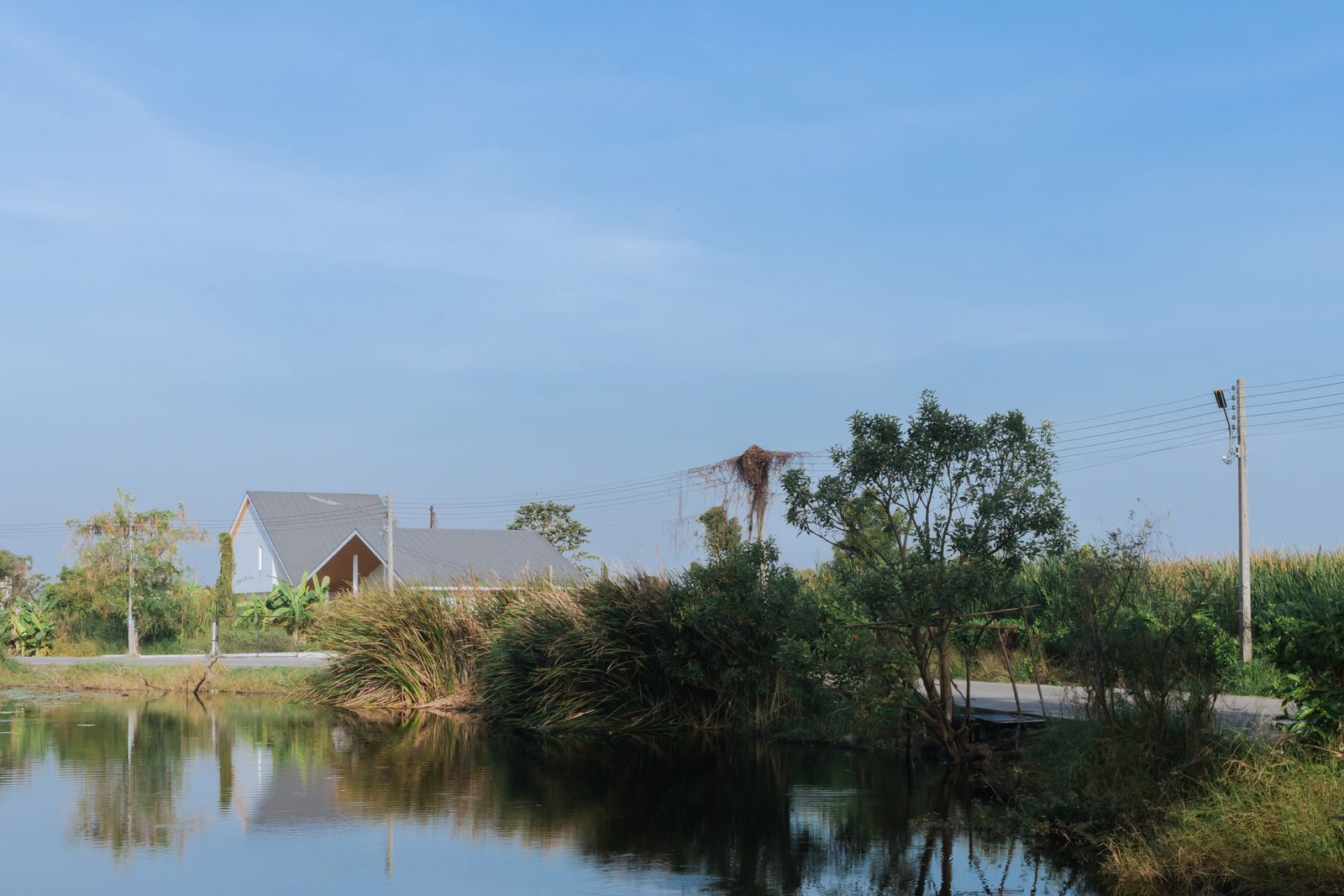 Photo 5 of 28 in Golden Future Kennel Farm by KNAA - Dwell