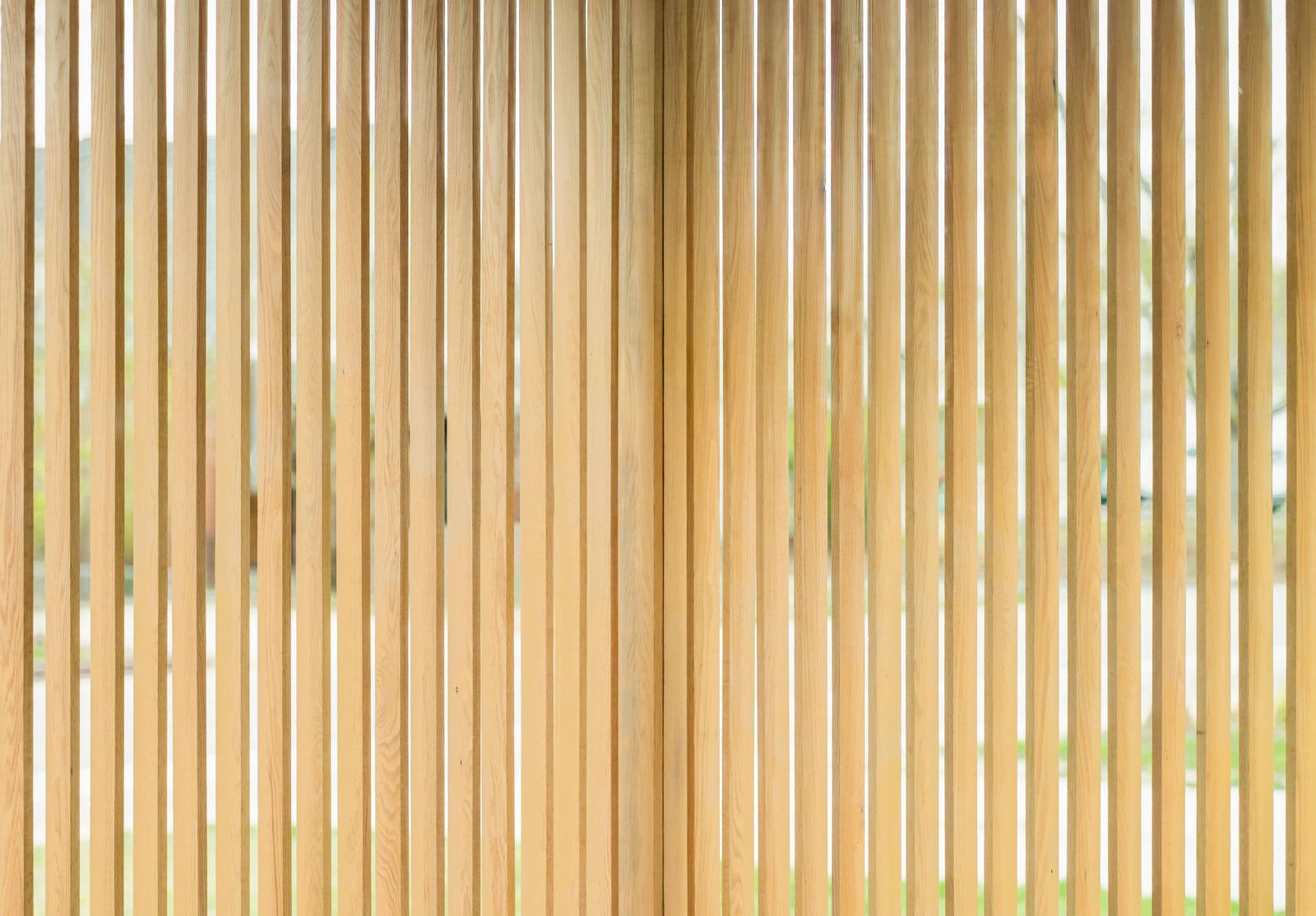 Photo 6 of 47 in A Quiet Transformation in Denver by Andrew Katz - Dwell