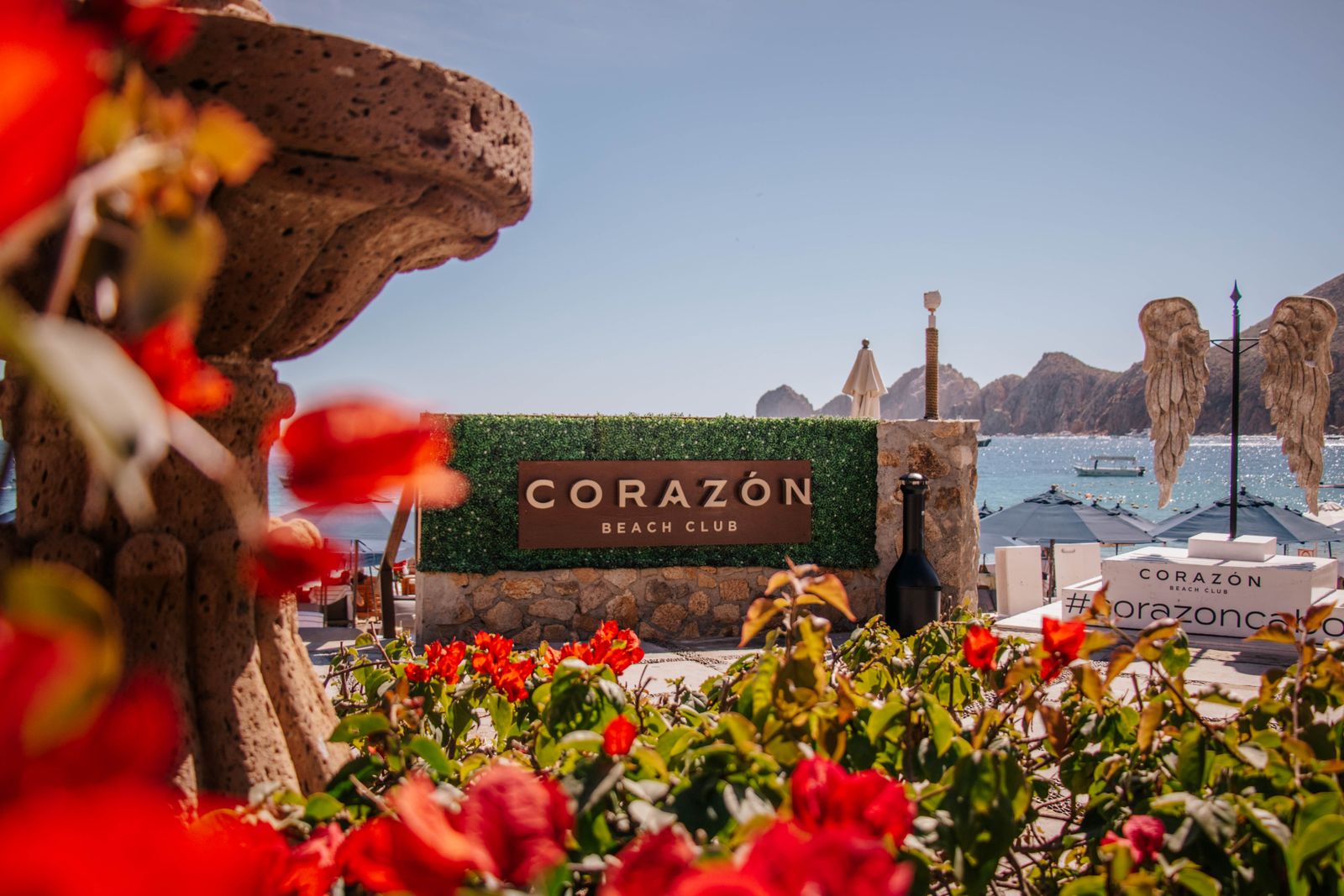 Photo 7 of 19 in Corazón Cabo Resort & Spa by Corazón Cabo Resort & Spa ...