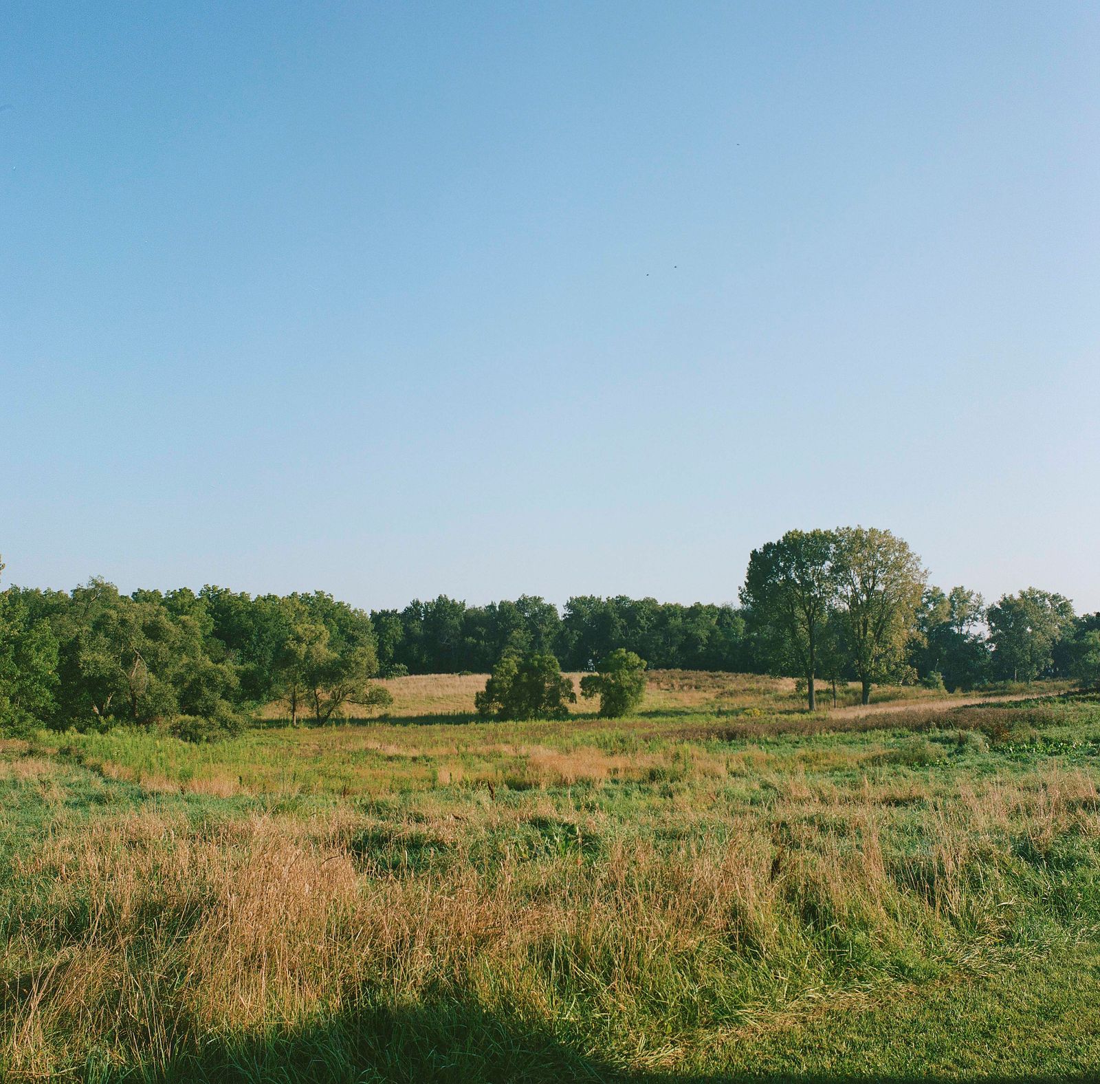 Photo 14 of 25 in The Croft by Practice Landscape - Dwell