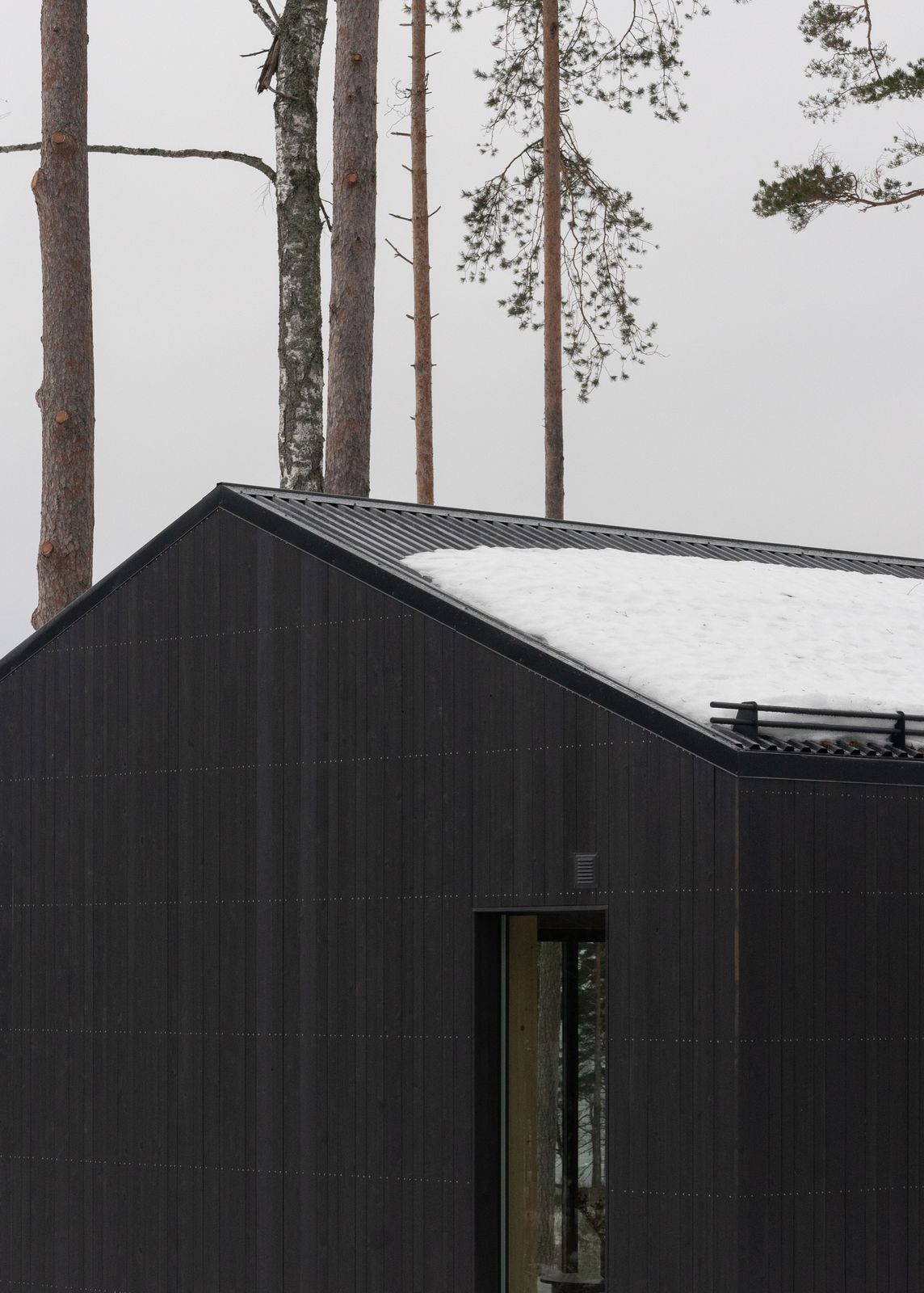 Photo 10 of 14 in A compact timber house and annex by Delo Studio ...